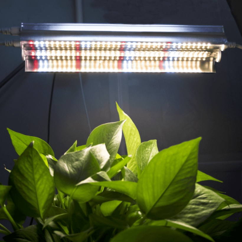 Lampy led do uprawy podwieszane T5 - Sklep Mr. Light